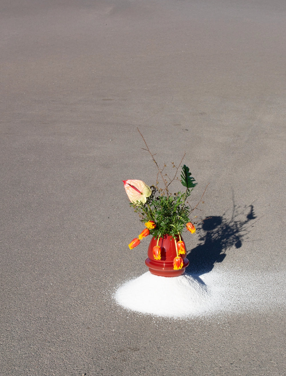 AKMIT VAS, RÖD – FINE LITTLE DAY